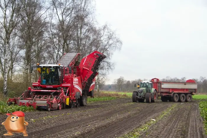 Innovaties in Bietenoogst | VD Borne Aardappelen